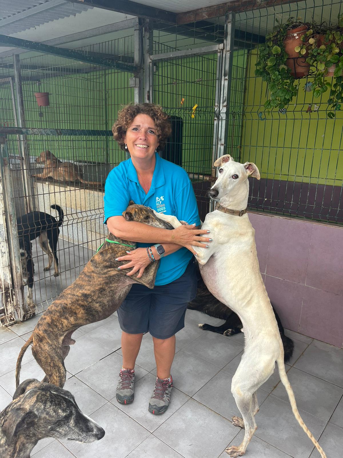 Nieuwsbrief N° 93, oktober 2024 - Hobodogs